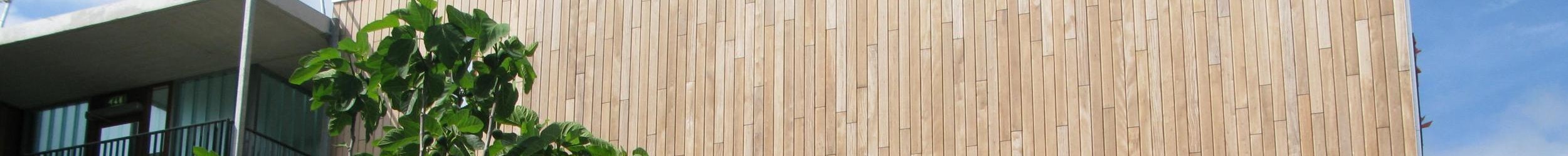 » Mooi vergrijsd Louro gamela na 10 jaar! » innovita-advies.nl