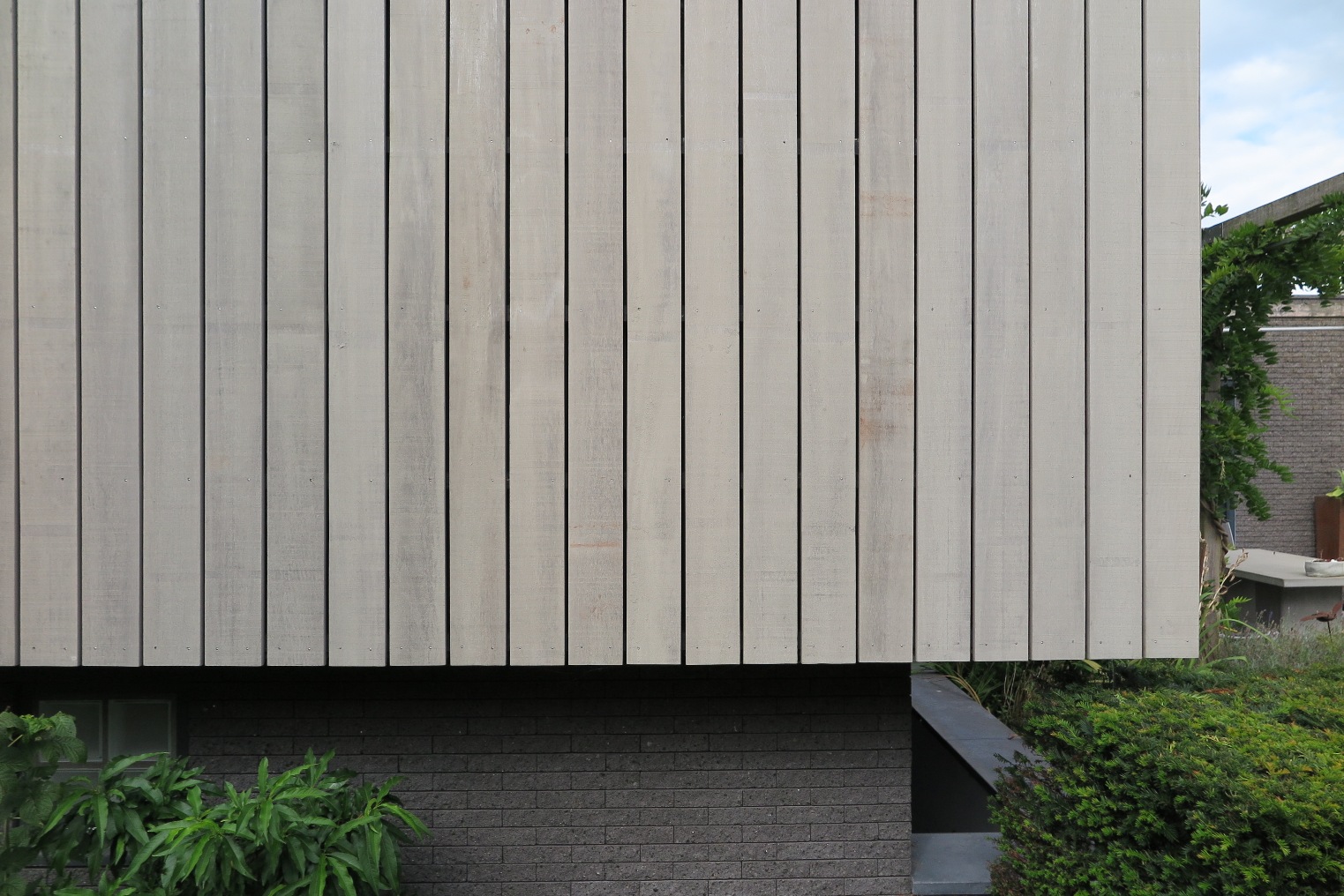 » Mooi vergrijsd Louro gamela na 10 jaar! » innovita-advies.nl