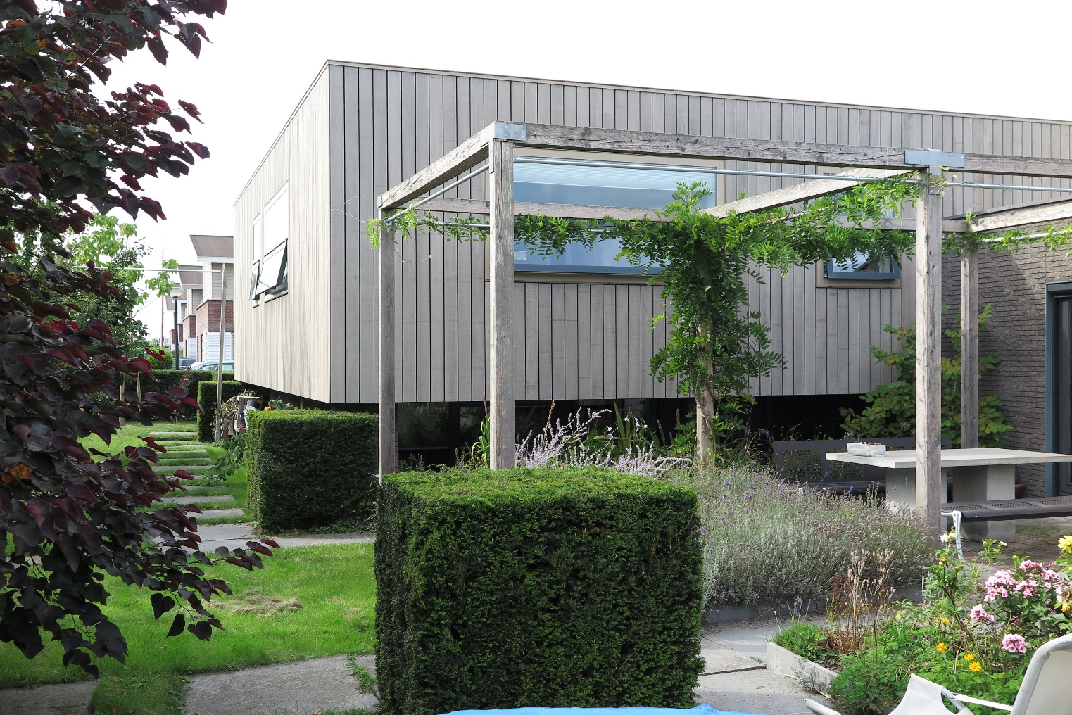 » Mooi vergrijsd Louro gamela na 10 jaar! » innovita-advies.nl